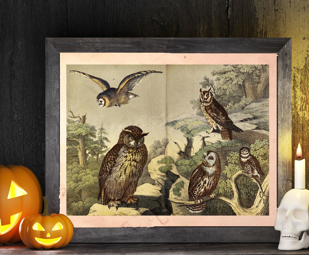 POSTER PRINT Spooky Owls Halloween Decor Rustic Decor Spooky Wall Art ...