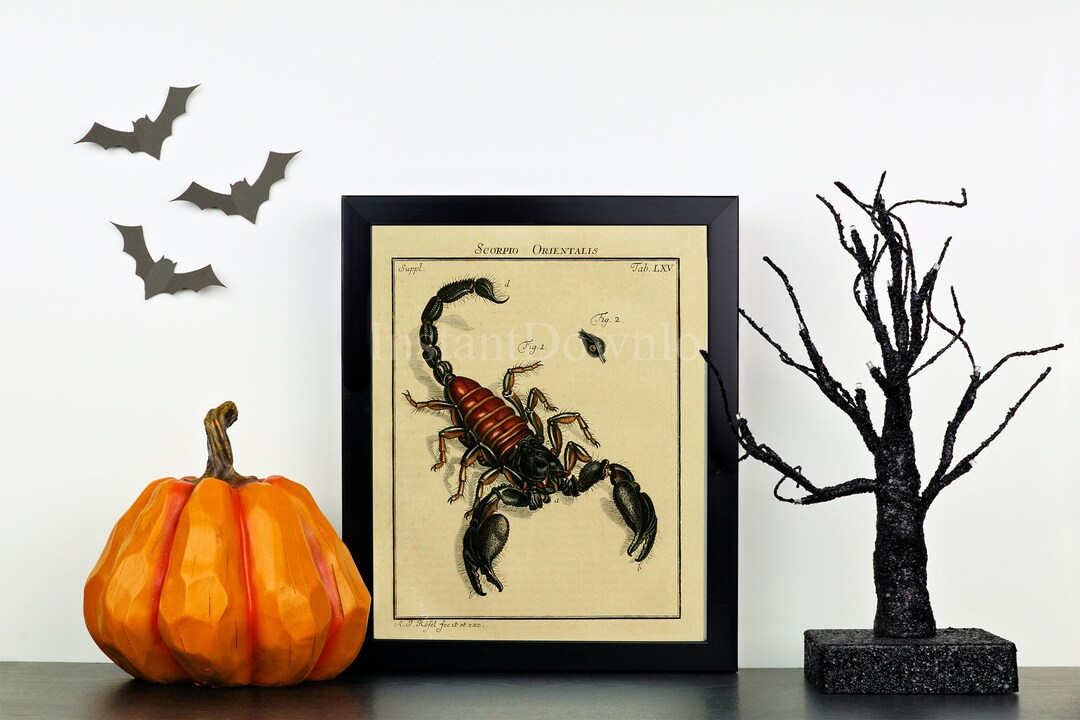 POSTER PRINT Creepy Crawlers Scary Scorpion Halloween Poster Print ...