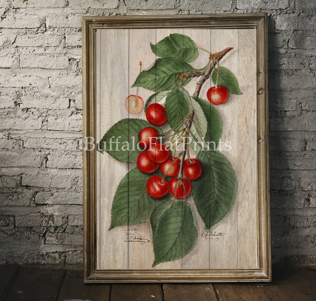 SOFORTIGER DOWNLOAD Rote Kirschen Kirsche Art Print Auf Holz Ida ...