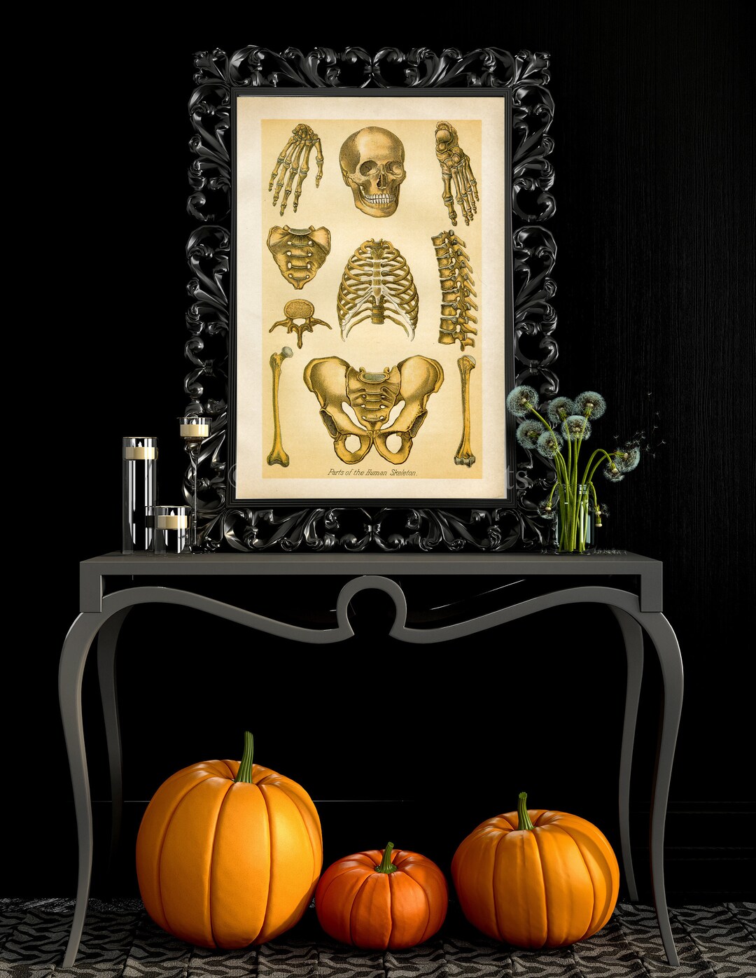 INSTANT DOWNLOAD Scary Human Skeleton Bones Skull Halloween Decoration ...