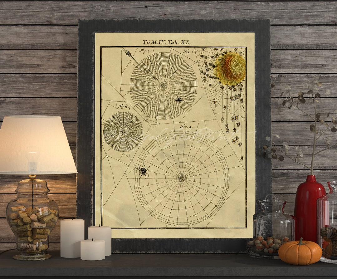 INSTANT DOWNLOAD Spooky Spiders and Spider Web Halloween Decor - Etsy