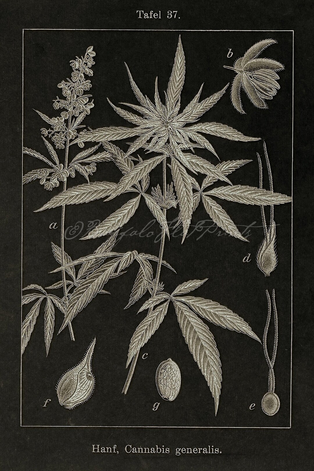 POSTER PRINT Weed Art in Black and Gray Cannabis Poster Stoner Gift ...