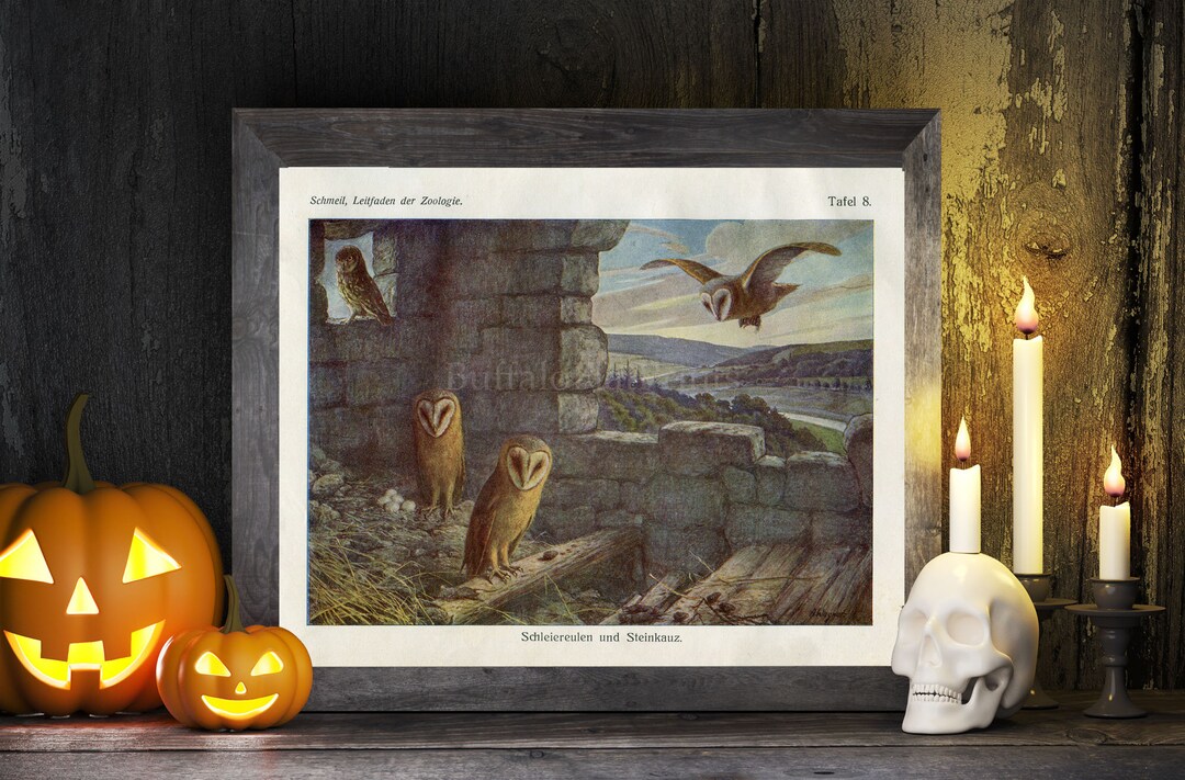 POSTER PRINT Spooky Barn Owls and Little Owls Halloween Decoration ...