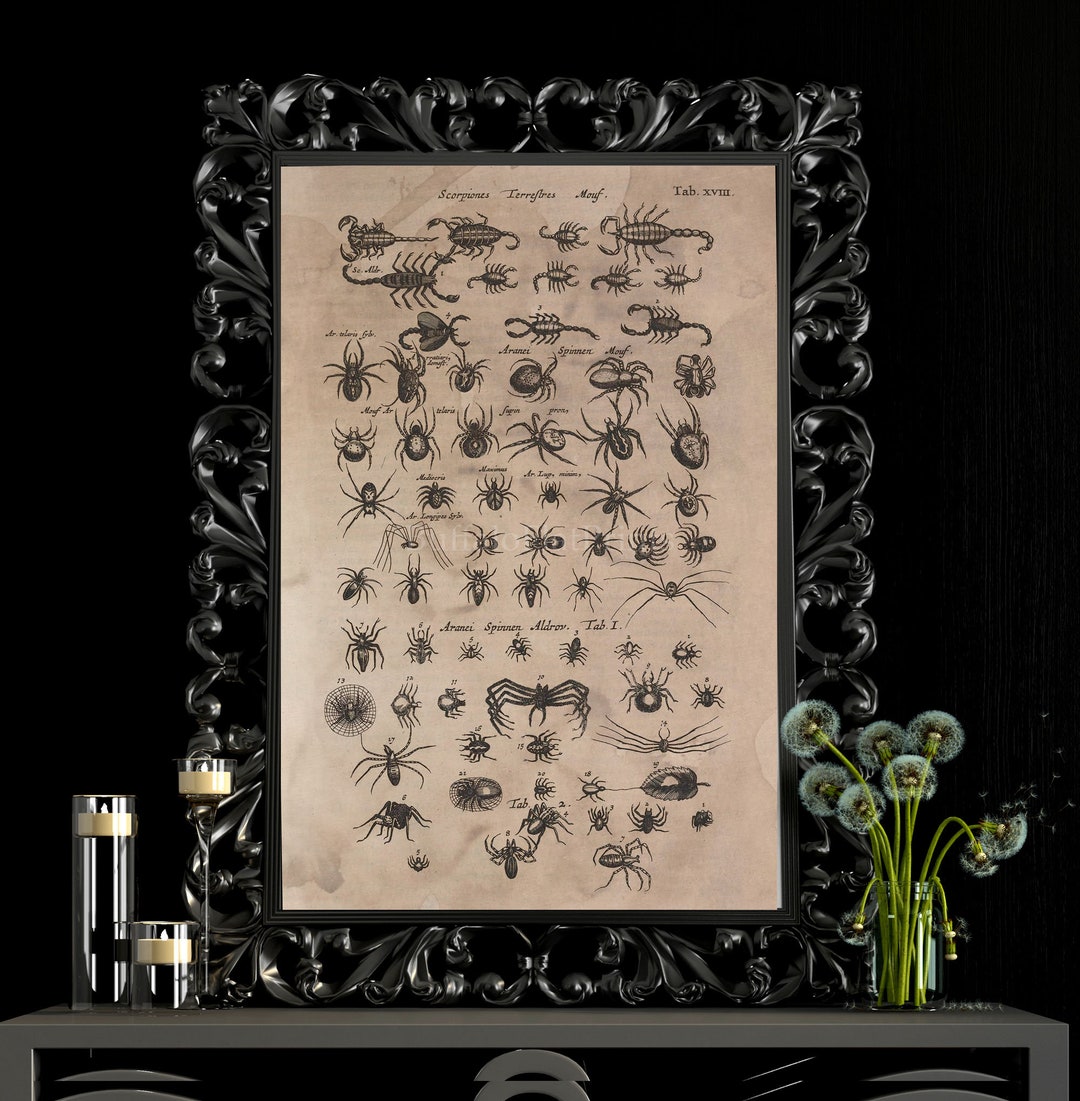 INSTANT DOWNLOAD Creepy Crawlers Insects Scary Scorpions and Spooky ...