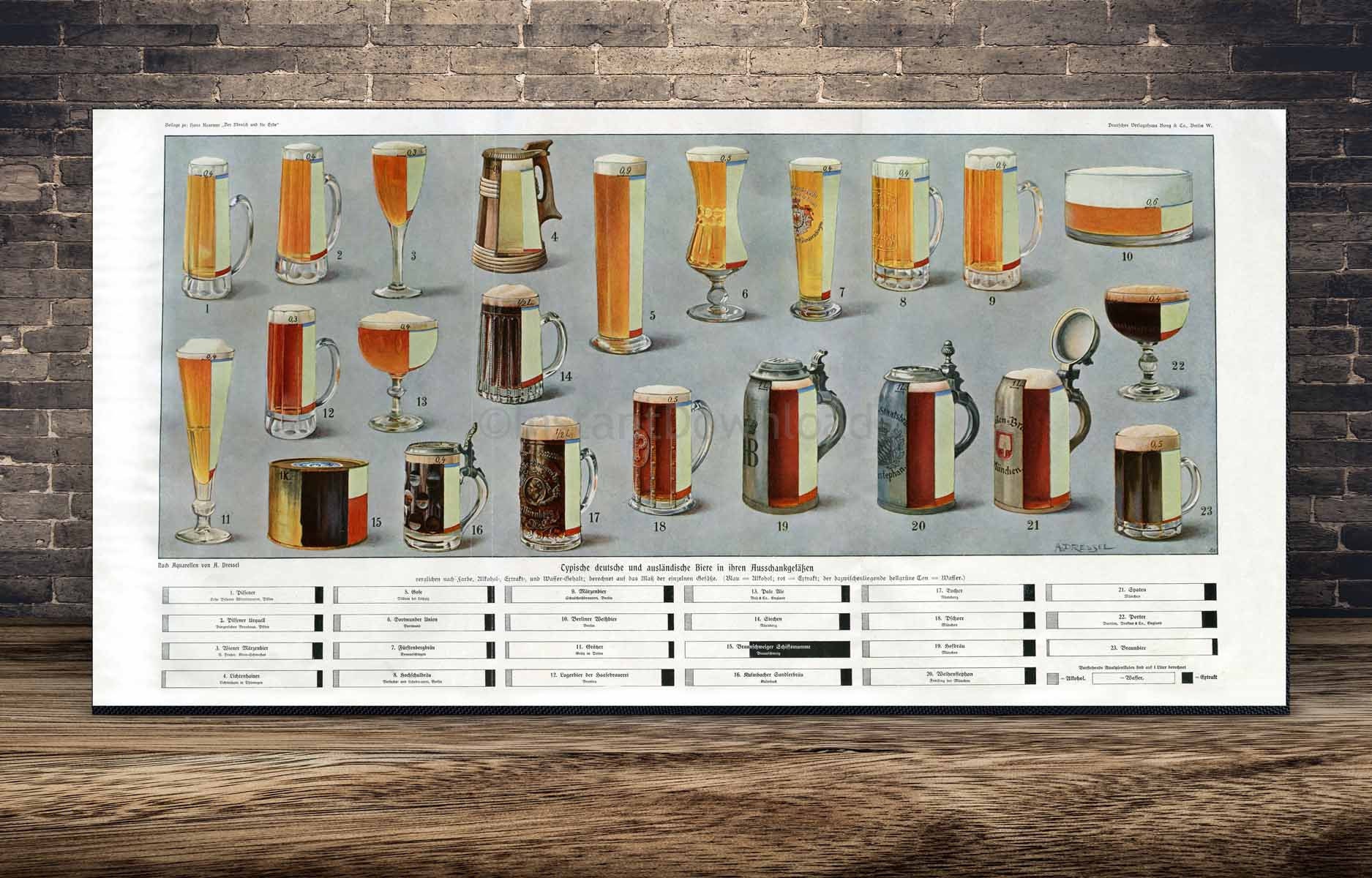 INSTANT DOWNLOAD Types of German Austrian Beers Pilsner Hofbrau Poster ...