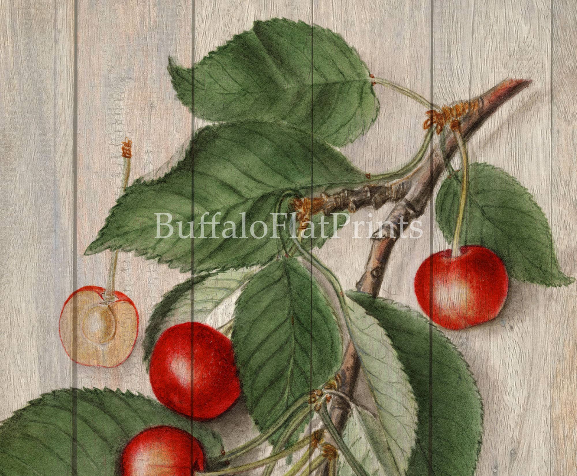 SOFORTIGER DOWNLOAD Rote Kirschen Kirsche Art Print Auf Holz Ida ...