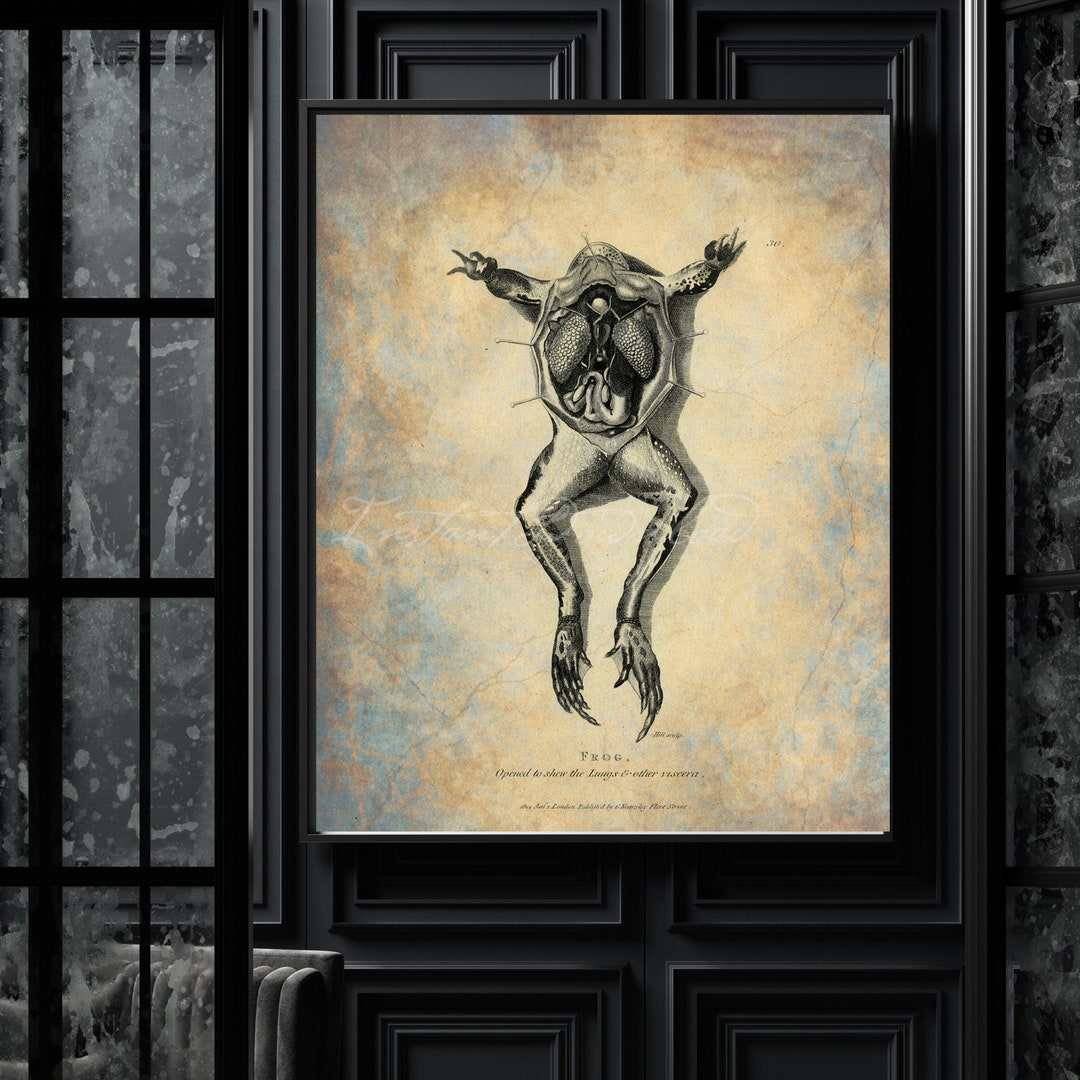POSTER PRINT Art Print Crucifixtion of Kermit Frog Disection Anatomy ...