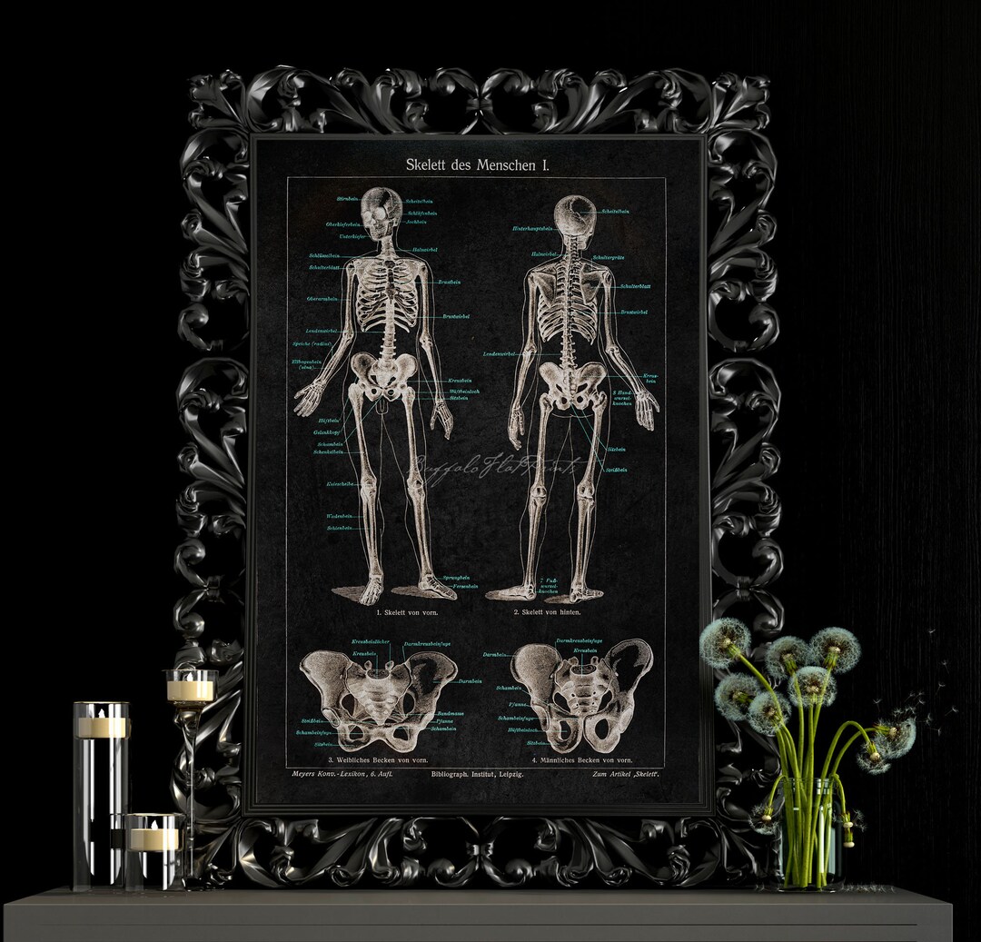 POSTER PRINT Spooky Skeletons on Black Chalkboard Background Creepy ...