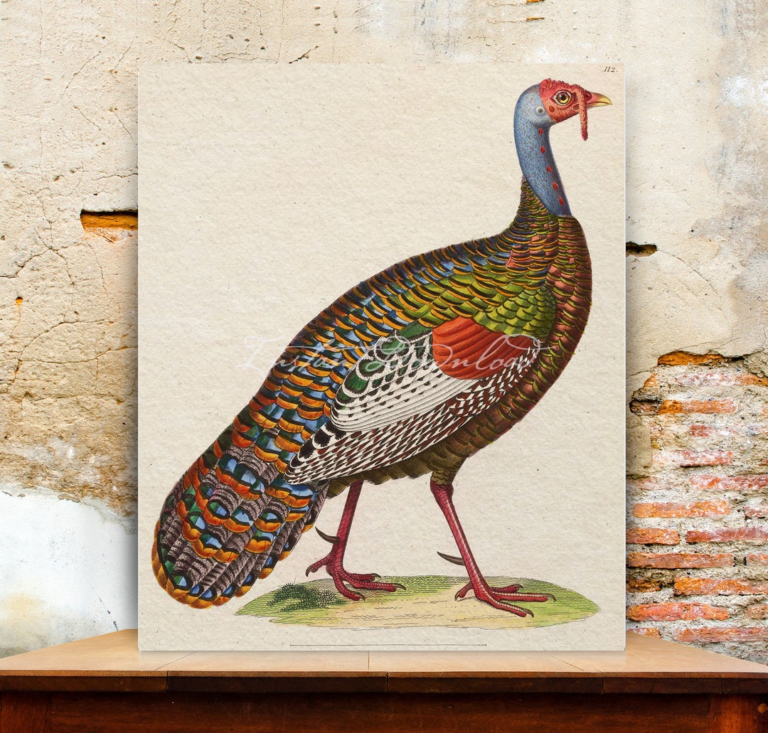 INSTANT DOWNLOAD Turkey Poster Print Thanksgiving Fall Table Decor Game ...