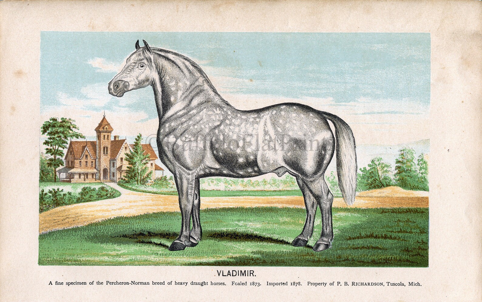 INSTANT DOWNLOAD 8 Print Set Arm Animal Prints Pig Sheep Cows Horses ...