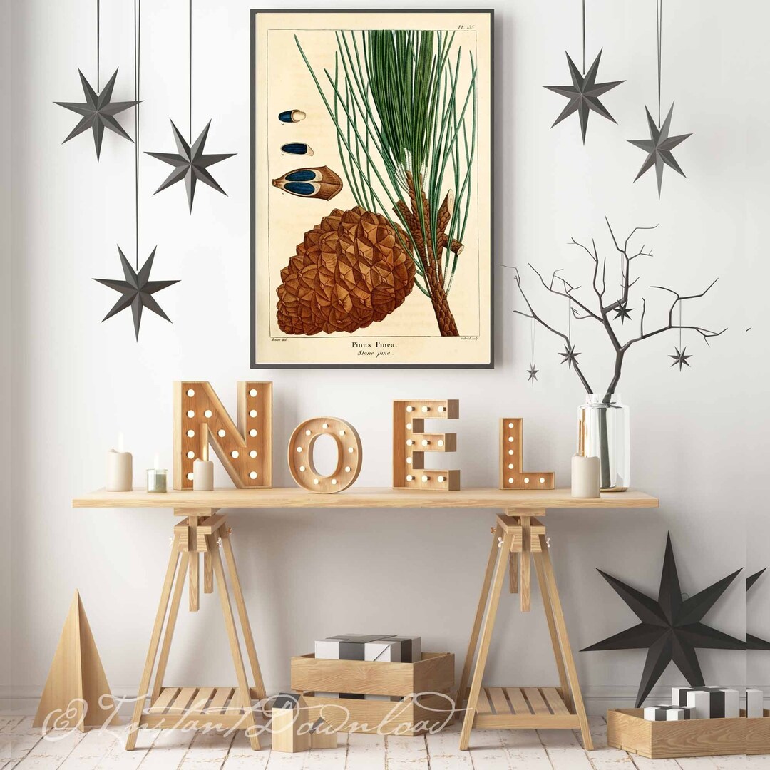 INSTANT DOWNLOAD Christmas Pine Cones Stone Pine Pinus Pinea Christmas ...