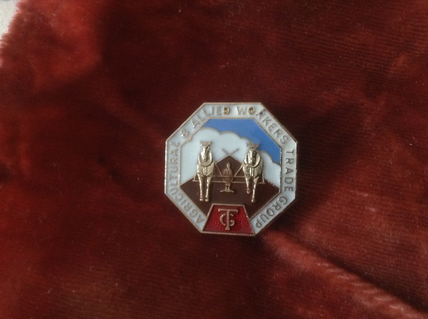 Agricultural Workers Trade Union Badge - Etsy