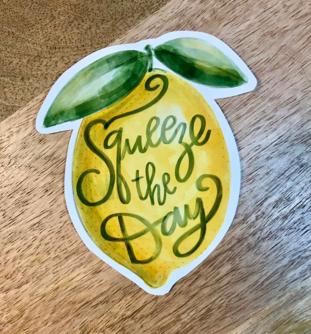 Squeeze the Day Sticker Decal Fun Locker Laptop Decal Sticker Fun Funny ...