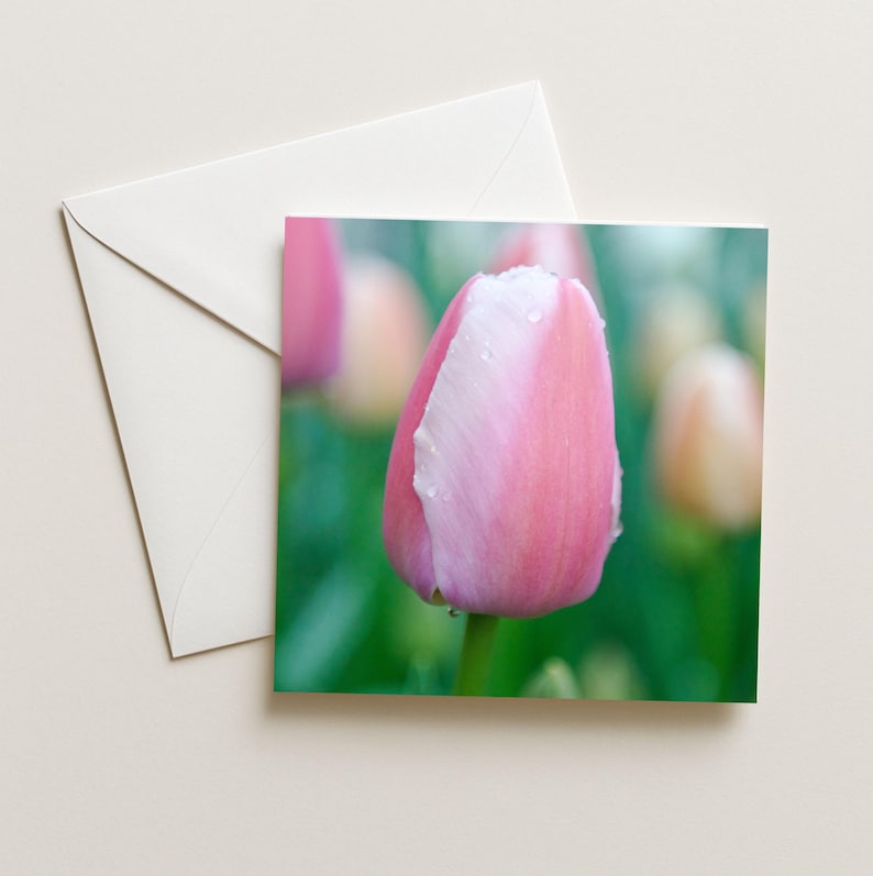 Spring Florals | 4 Blank Greeting Cards | Floral Blossom Photography ...