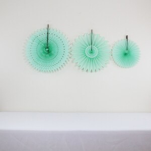 Birthday Party Decorations 6 Tissue Paper Fans Decor Kit , Weddings ...