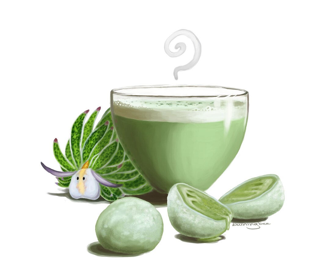 Green Tea Latte, Green Tea Mochi Ice Cream, and a Leafy Sheep Sea Slug ...