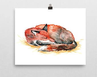 Smiling Red Fox in Blue Socks Art Print of original | Etsy