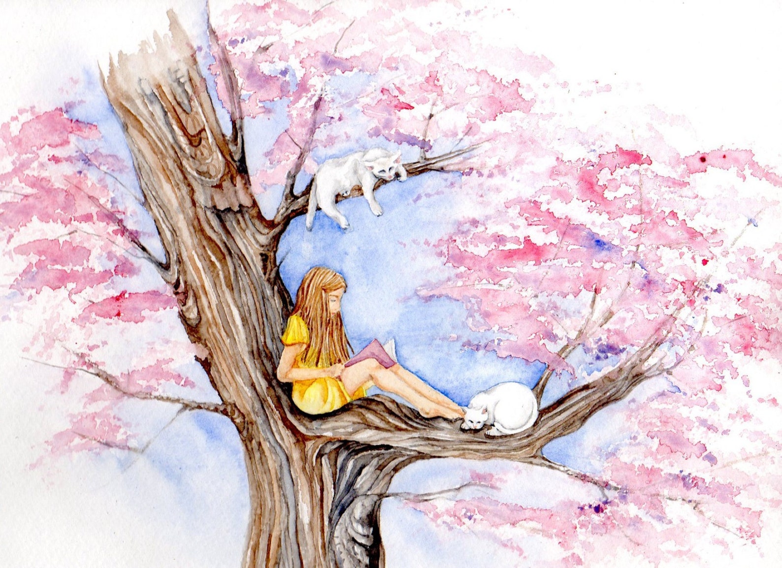 Reading Book on a Sakura Tree - Art Print of Original Watercolor ...