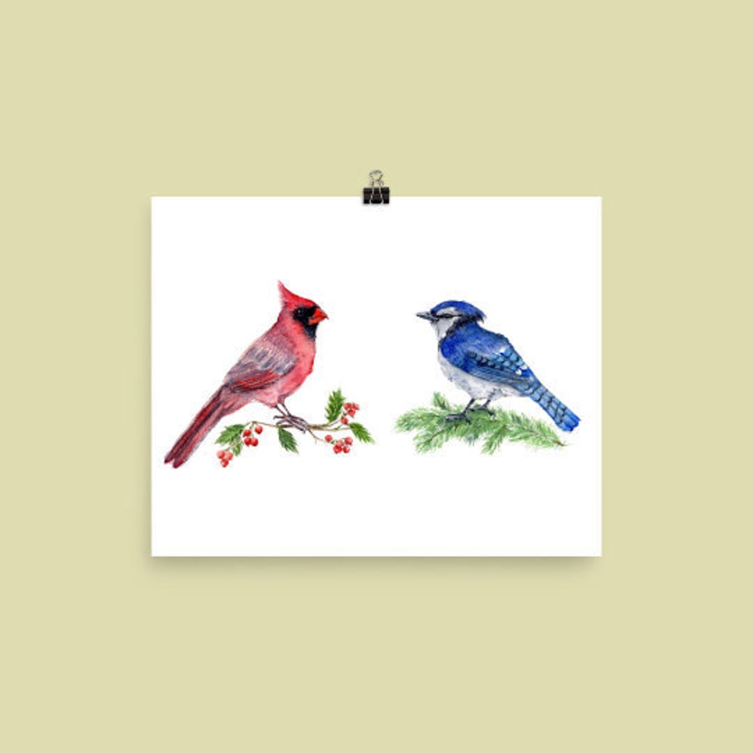 Red Cardinal With Blue Jay Birds - Art Print of Watercolor Painting ...