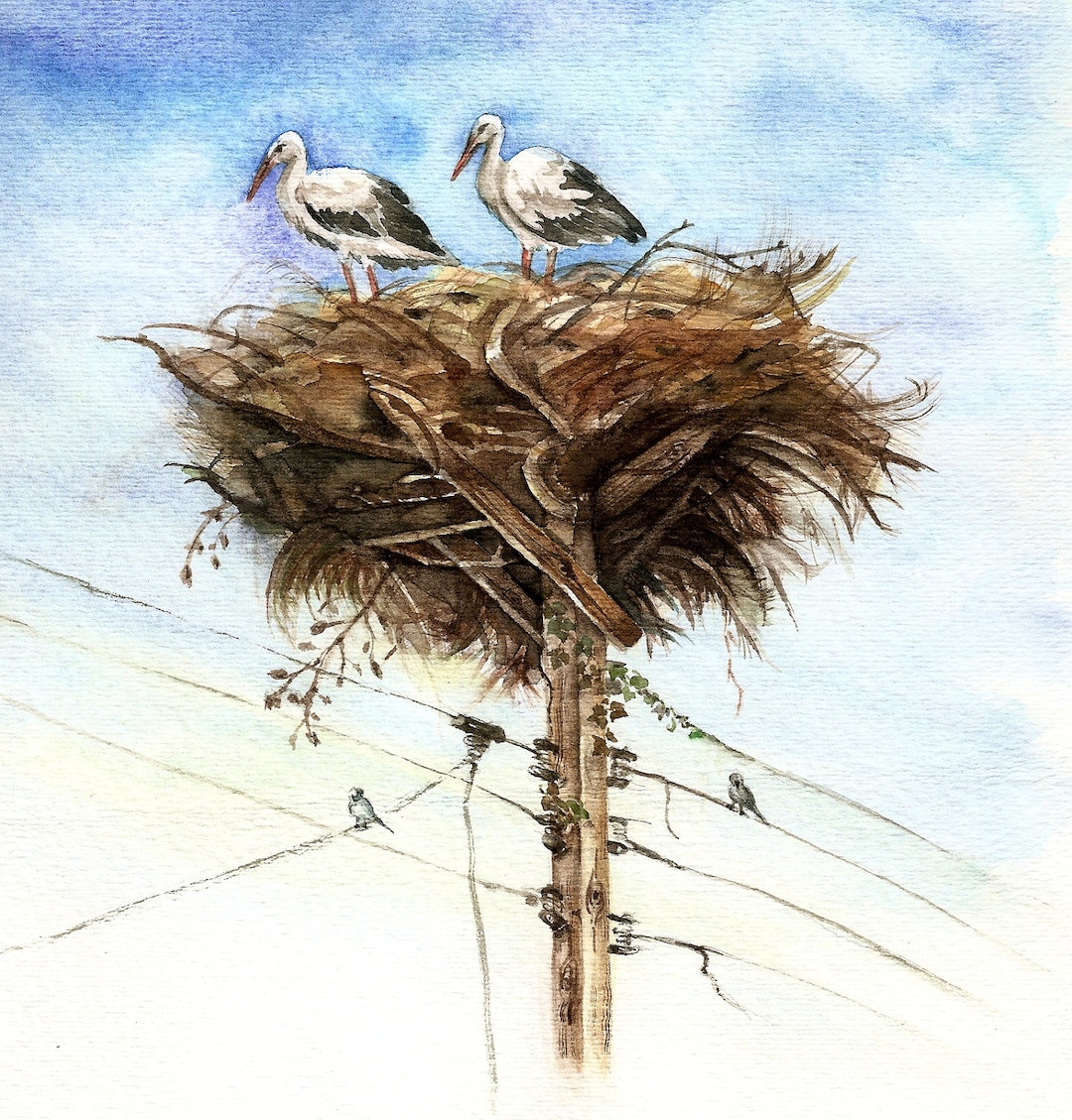 Two Storks Nest - Art Print of Watercolor Painting - Vintage Style Blue ...