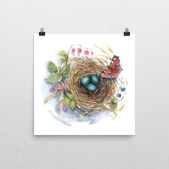 Robin Nest Drawing