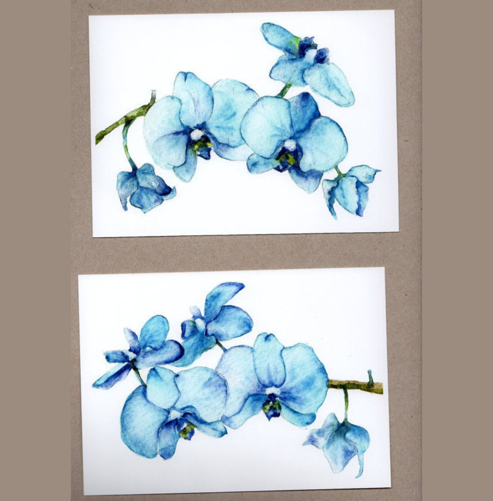 Watercolor Blue Orchid Art Print Set of 2 Art Prints of Original ...
