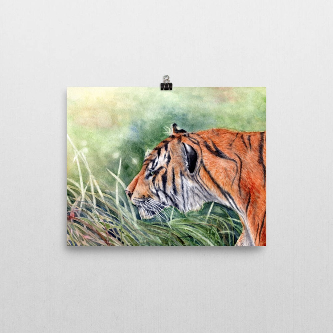 Tropical Rainforest Baby Bengal Tiger