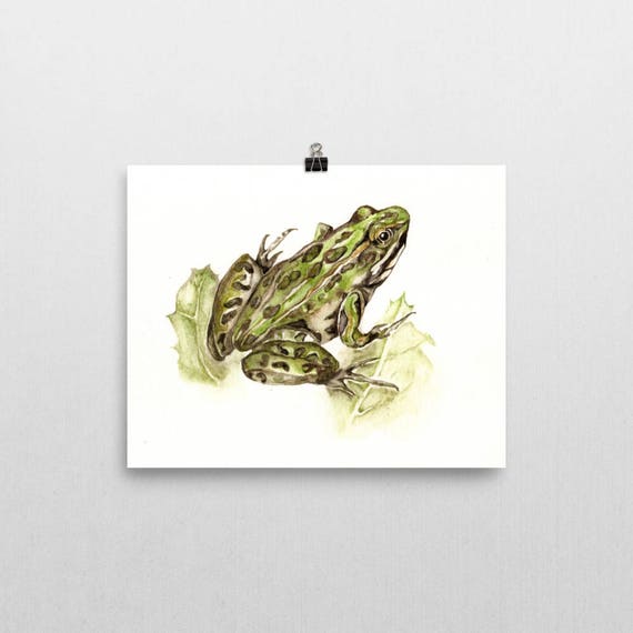 Northern Leopard Frog Fine Art Print of original watercolor | Etsy