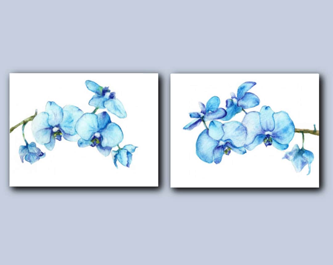 Watercolor Blue Orchid Art Print Set of 2 - Art Prints of Original ...