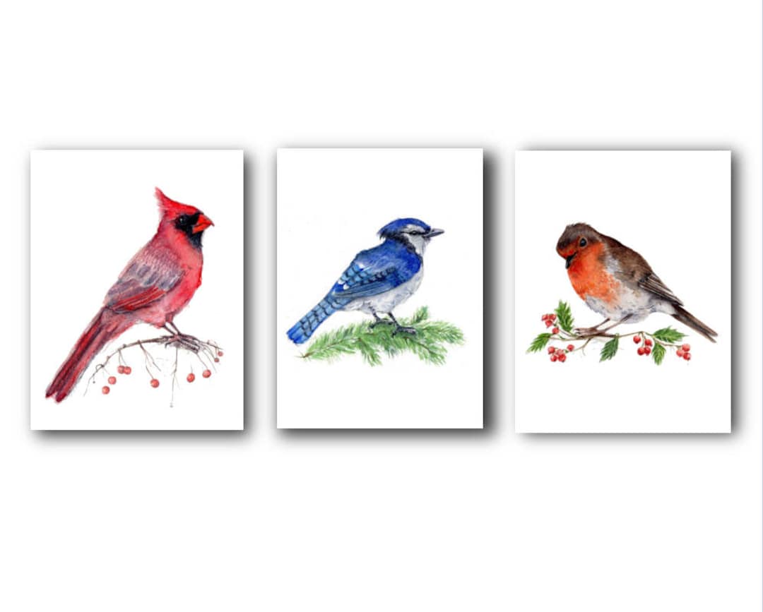 Watercolor Christmas Bird Prints: Robin, Blue Jay, Cardinal Art Set - Etsy