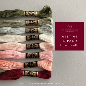 MEET ME in PARIS Embroidery Floss Bundle - 8 Curated Dmc Thread Colors ...