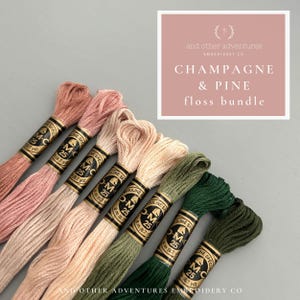 CHAMPAGNE & PINE Embroidery Floss Bundle - 8 Curated DMC Threads, Beautiful Blush Dark Green ...