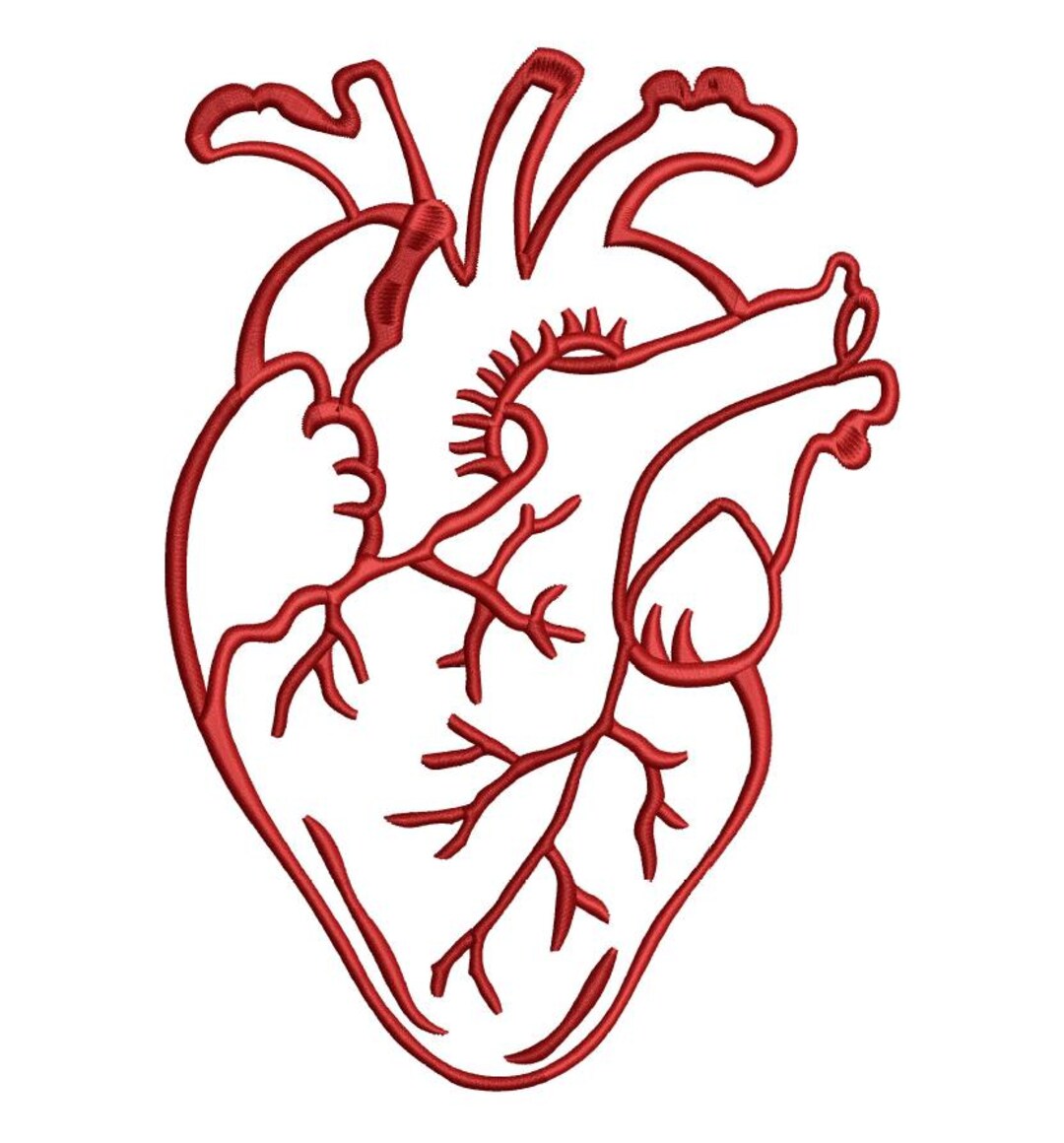 Anatomical Heart Embroidery Design, Realistic Human Heart Line Art ...
