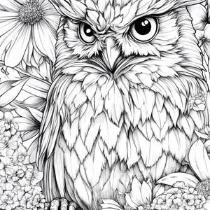 Majestic Owls Coloring Pages Digital Download, 57 Detailed Adult ...