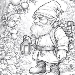 Coloring Pages Gnomes, Digital Download PNG Adult Coloring, Stress ...