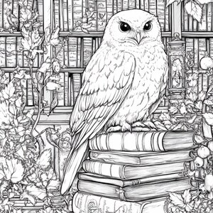 Majestic Owls Coloring Pages Digital Download, 57 Detailed Adult ...
