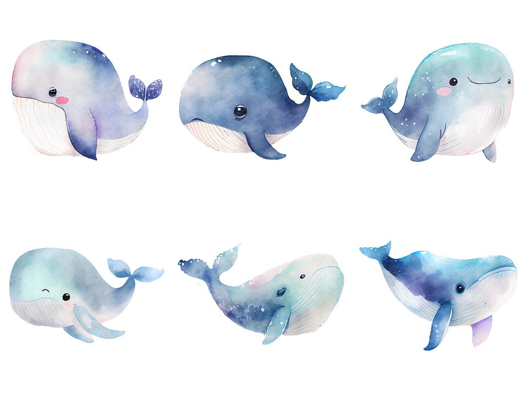 Cute Whale Watercolor Clipart Bundle, Baby Whale PNG Set, Ocean Animal ...