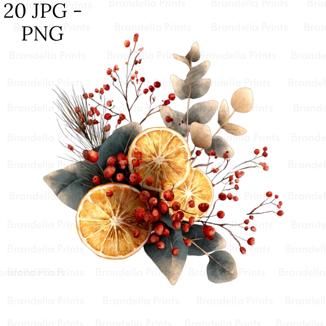 20 Realistic Christmas Clipart PNG/JPG 300DPI, Digital Clipart ...