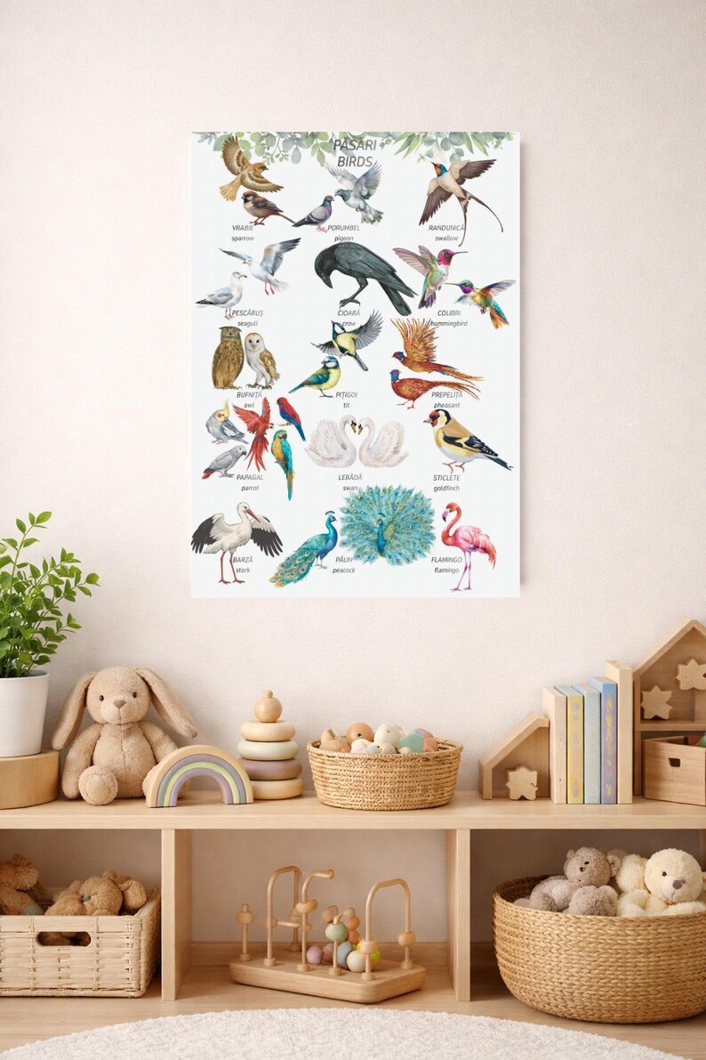 Birds Educational Poster - Bilingual English and Romanian | Printable ...