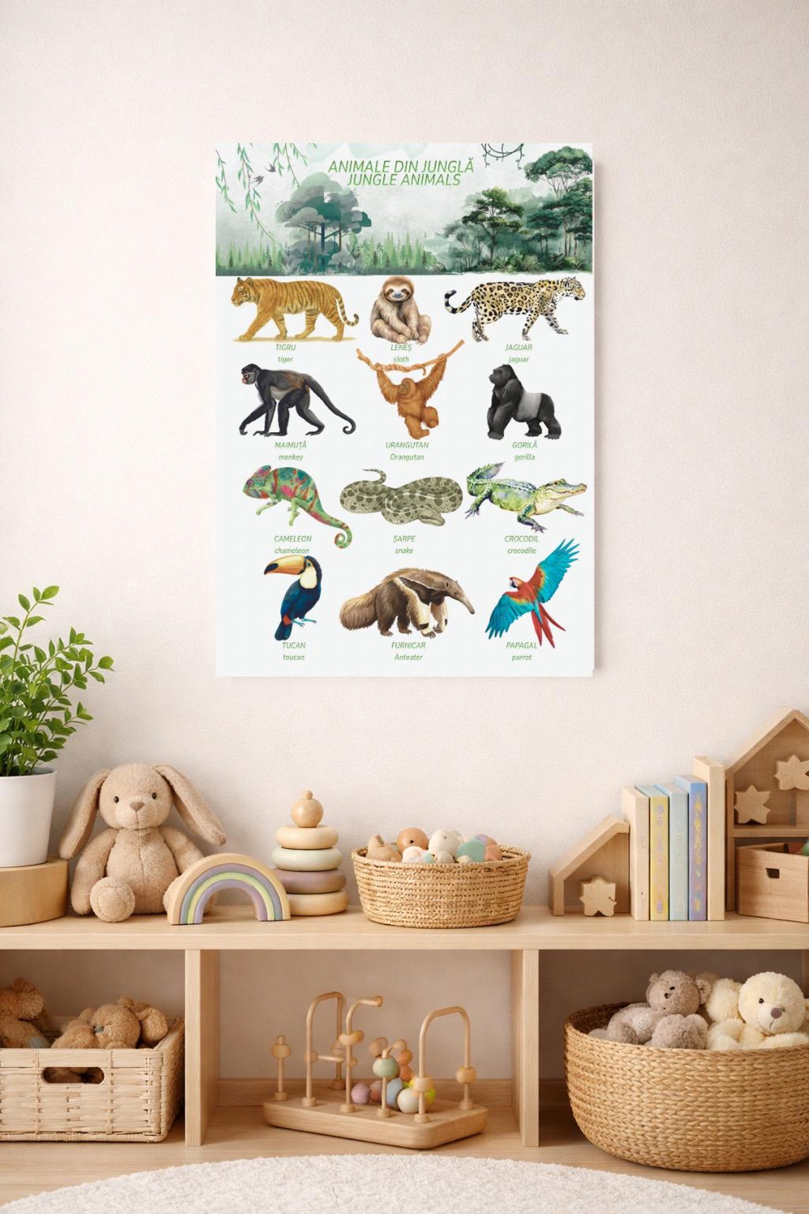 Jungle Animals Educational Poster - Bilingual English and Romanian ...