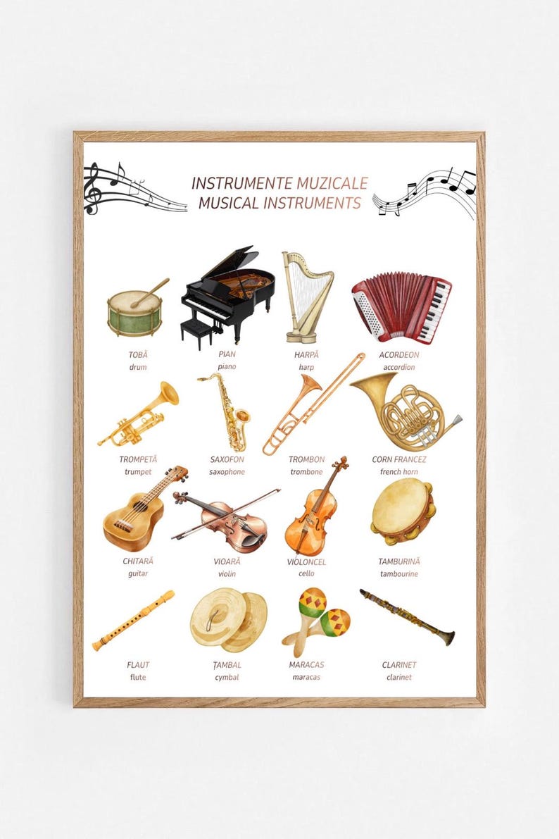 Musical Instruments Educational Poster - Bilingual English and Romanian ...