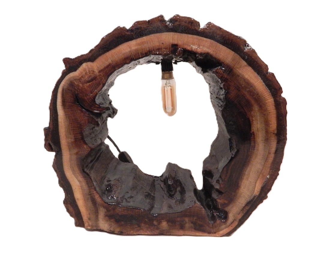 Hollow Log Lamp, Unique Log Lamp, One of a Kind Lamp, Log Lamp, Hollow ...