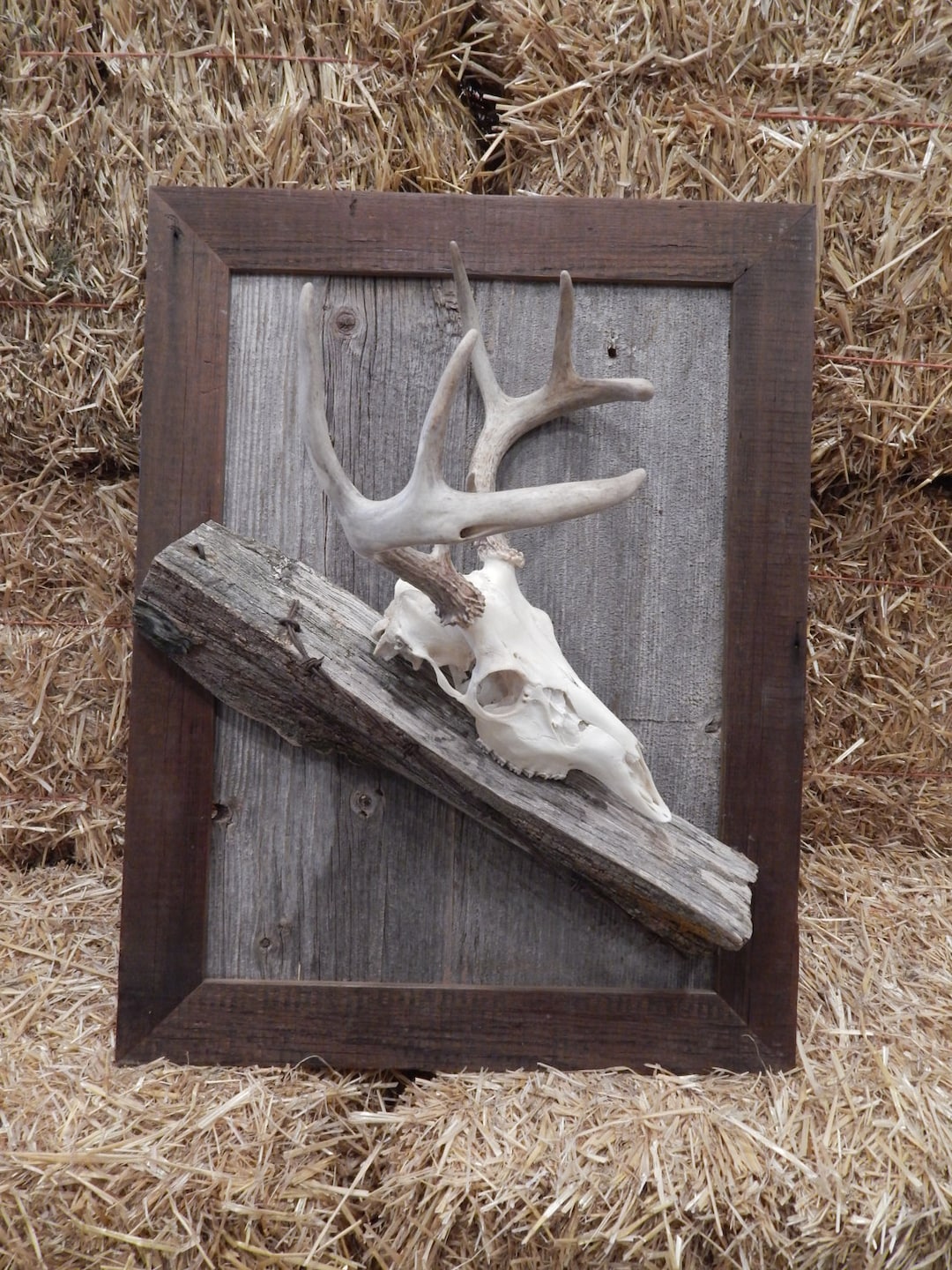 Custom Made Deer Skull Barnwood/fence Post Mounting Plaque - Etsy