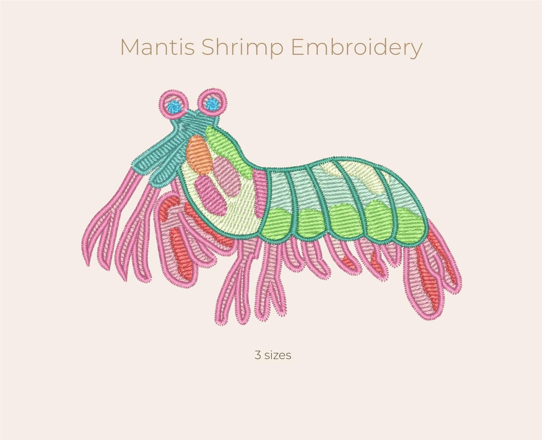 Mantis Shrimp Embroidery Design – Vibrant Ocean Insect – Marine Machine ...