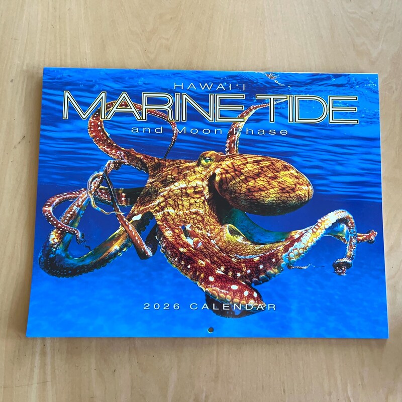 Lunar Tides - Etsy