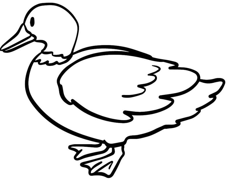 Farm Animals Coloring Book-printable PDF for Kids,10 Pages - Etsy