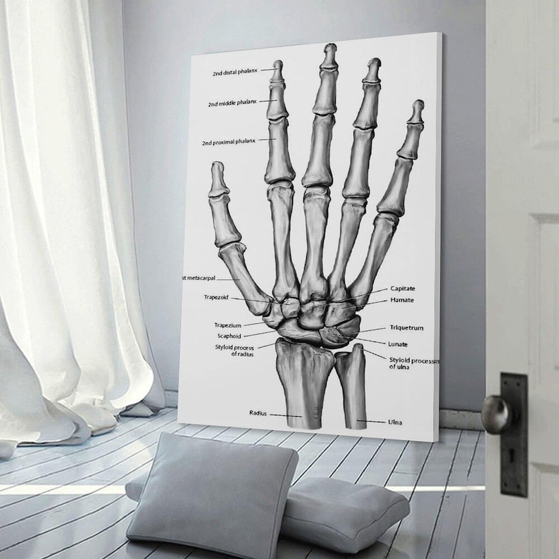 Human Hand Bones Anatomy Art, Canvas Print, Medical Wall Decor - Etsy
