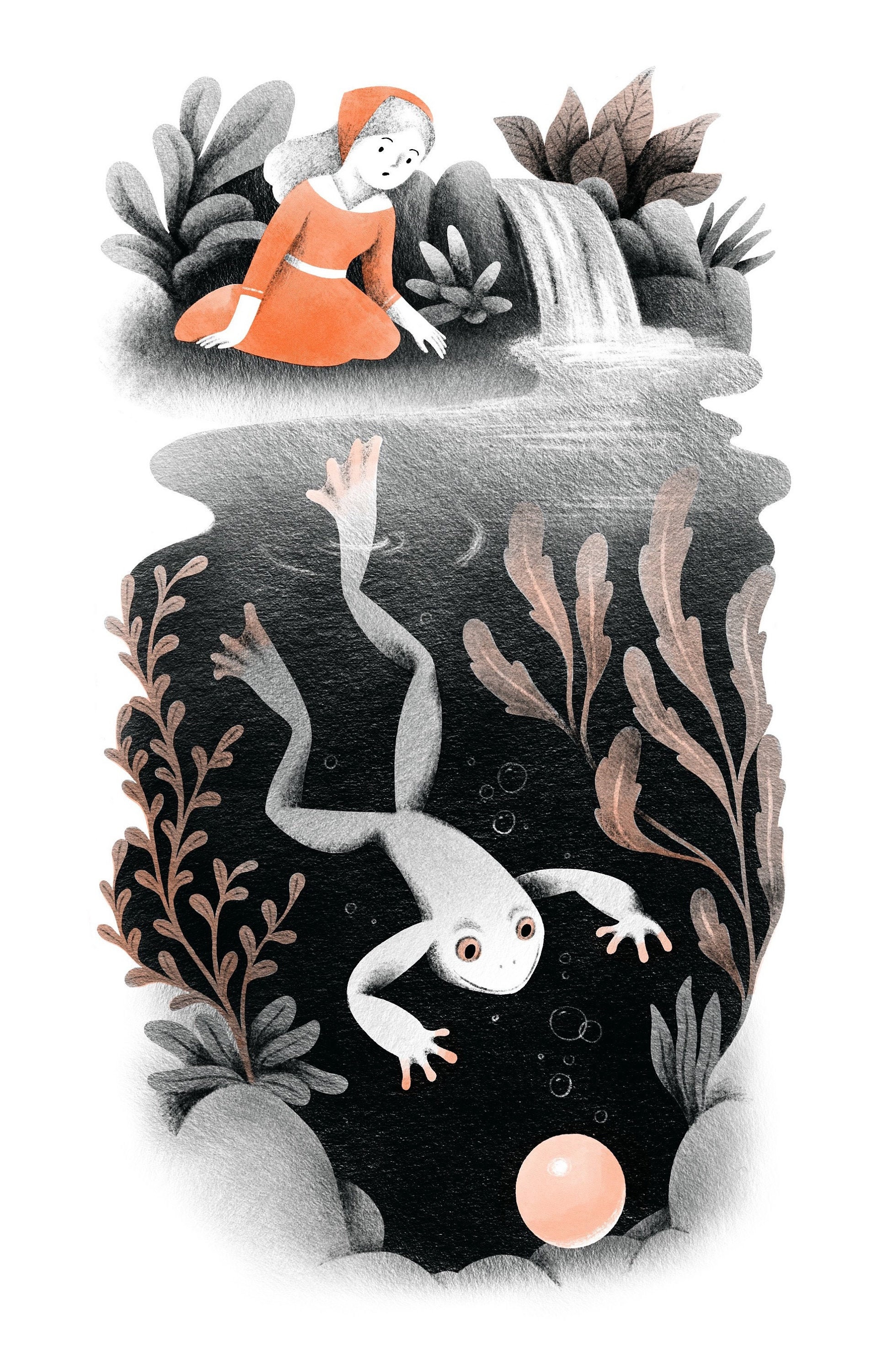 The Young Princess and the Frog Prince From Brothers Grimm Fairy Tales ...