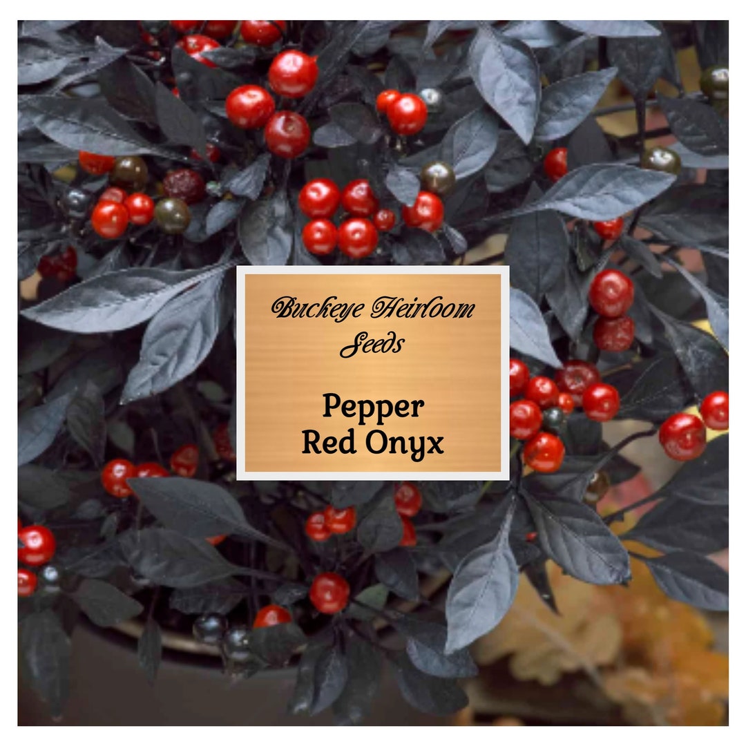 Red Onyx - Ornamental - Hot Pepper - Seeds - Non - Buckeye Heirloom ...