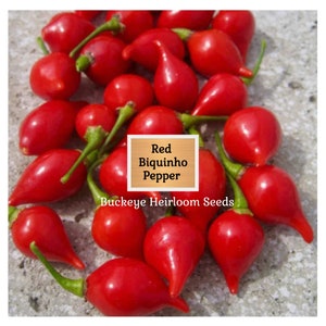 Red Biquinho Pepper Seeds (capsicum Chinese) Brazilian Heirloom Pepper ...
